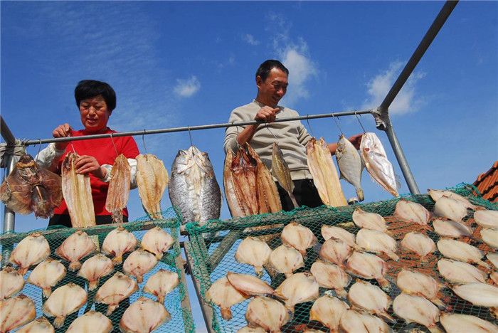Qingdao fishermen preserve fish using traditional methods_news_english ...