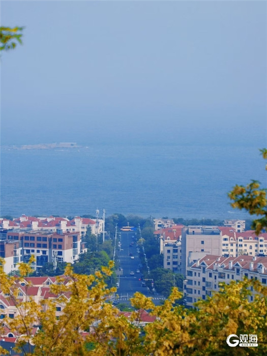 Beautiful Shandong | Qingdao's scenic mountain-to-sea corridor_news ...