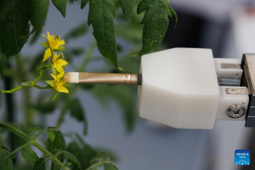 Chinese scientists develop world's first full-process intelligent ...